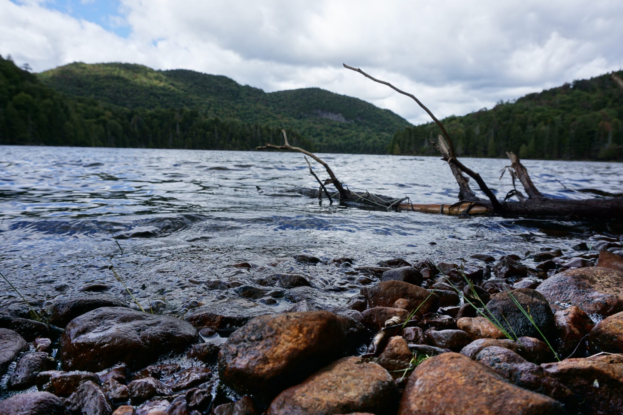 Upper Pond: A Ghost Town, a Scenic Pond, and Stepping on a Hornets ...